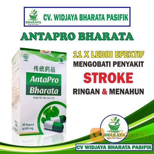 Obat Stroke Antapro Bharata 100% Original di Kab. Batanghari, Jambi ...