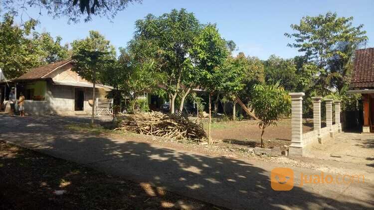 Kawasan Kost baru Jogja; Tanah pekarangan Citra Sentolo di Kab. Kulon ...