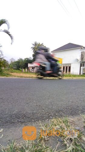 Taman Hutama Sedayu, Grand opening di Kawasan Hijau dan Asri di Kab ...