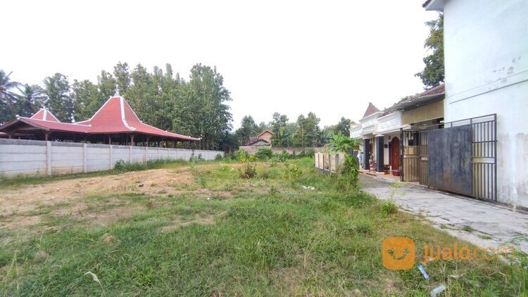 Taman Hutama Sedayu, Grand opening di Kawasan Hijau dan Asri di Kab ...