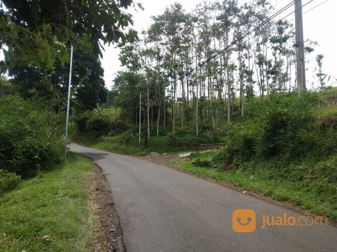 Tanah Kost Jatinangor Kawasan Kampus Unpad SHM di Kab. Sumedang, Jawa ... Tanah Kost Jatinangor Kawasan Kampus Unpad SHM di Kab. Sumedang, Jawa ...