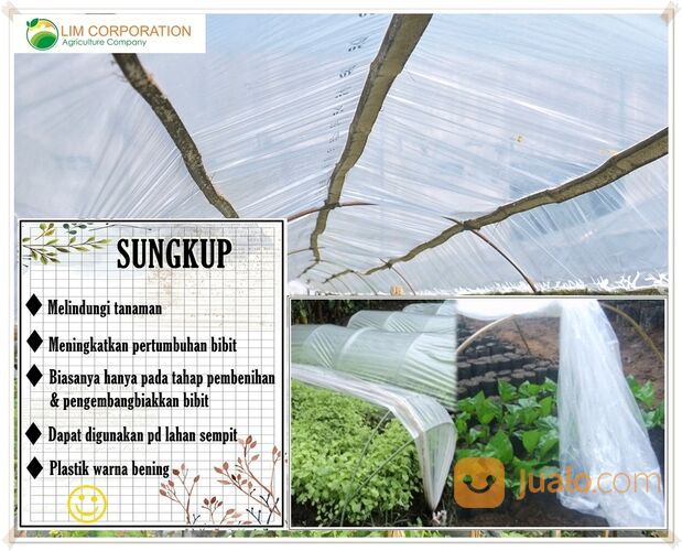 Plastik Sungkup Original Untuk Melindungi Tanaman Bahan Berkualitas! di ...