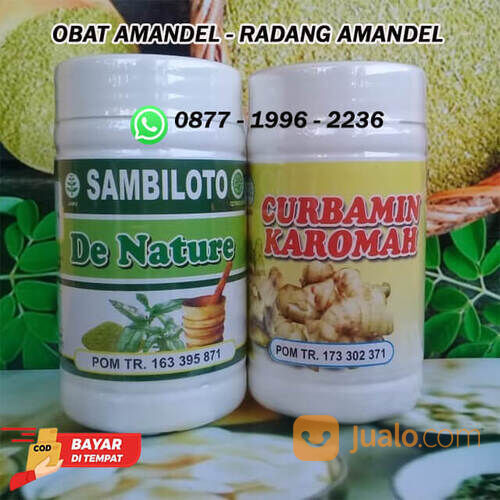 Obat Amandel Anak Dan Dewasa Paling Ampuh Amandel Bengkak Tanpa Operasi ...