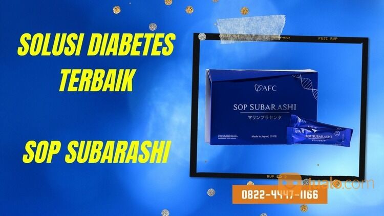 WA 0822-4447-1166, Obat Autoimun Kulit Di Blitar – SOP SUBARASHI di ...