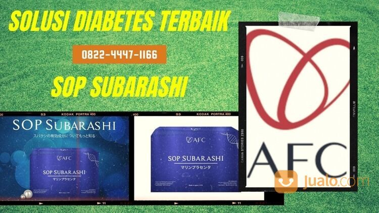 WA 0822-4447-1166, Obat Autoimun Kulit Di Blitar – SOP SUBARASHI di ...
