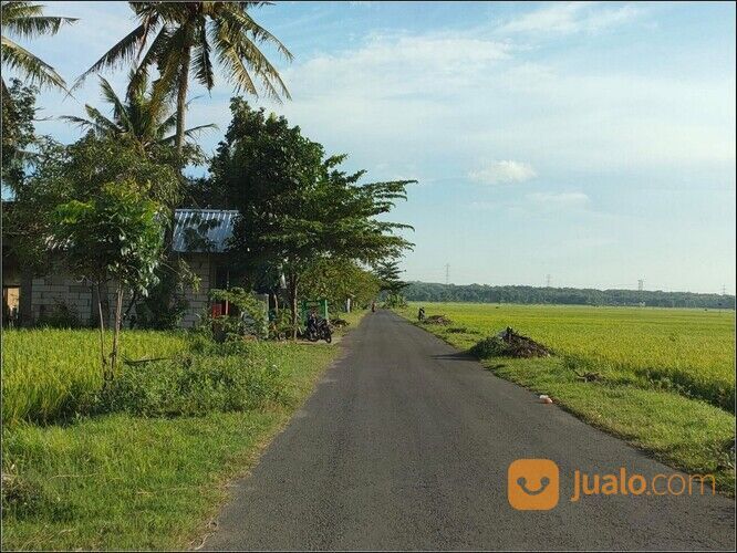 10 Menit ke Pintu Tol Sentolo. Tanah Jogja Barat. Luasan 140m di Kota ...