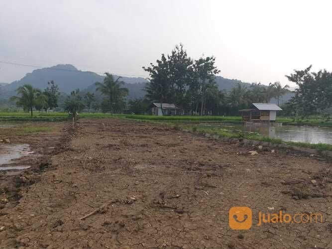 Kavling Villa Dan Kebon Di Taman Wisata Bukit Munara, Rumpin , Kab ...