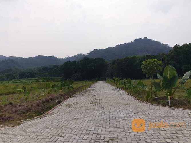 Kavling Villa Dan Kebon Di Taman Wisata Bukit Munara, Rumpin , Kab ...
