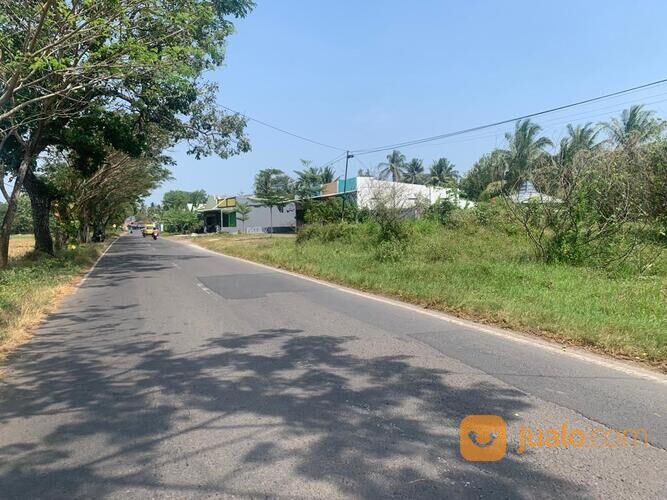 100 Jt-an, Sertifikat Aman Cocok Hunian Pun Investasi di Kab. Purworejo ...