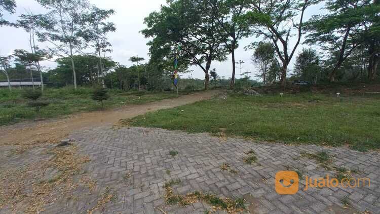 Tanah Kavling Jalibar Kepanjen Dekat Perumahan Kanjuruhan Di Kota Malang Jawa Timur