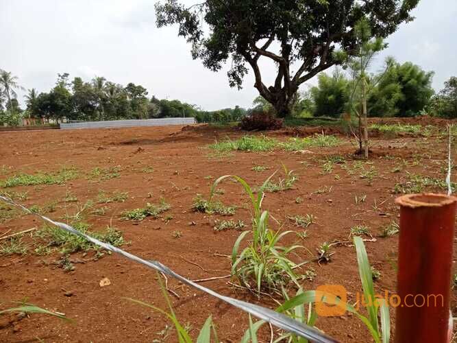 Tanah Rumpin Bogor, Dekat Pusdiklat Bela Negara KemhanI, SHM di Kota ...