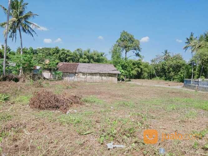 Tanah Murah Rumpin SHM Pecah Calon Ibu Kota Baru di Kota Bogor, Jawa ...