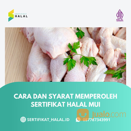 Sertifikat Halal MUI di Kota Tangerang Selatan, Banten | Jualo.com