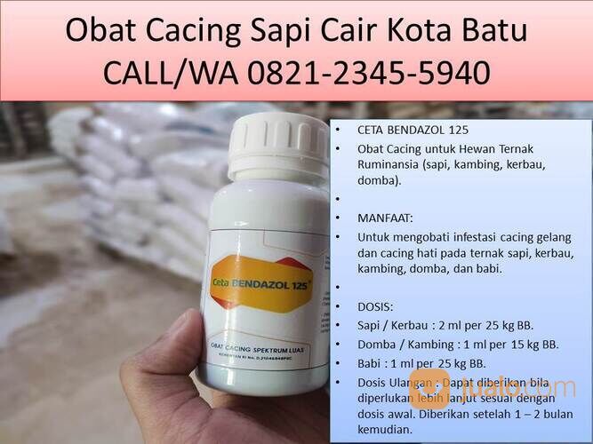 Obat Sapi Cacingan Tradisional Kota Batu di Kota Batu, Jawa Timur ...