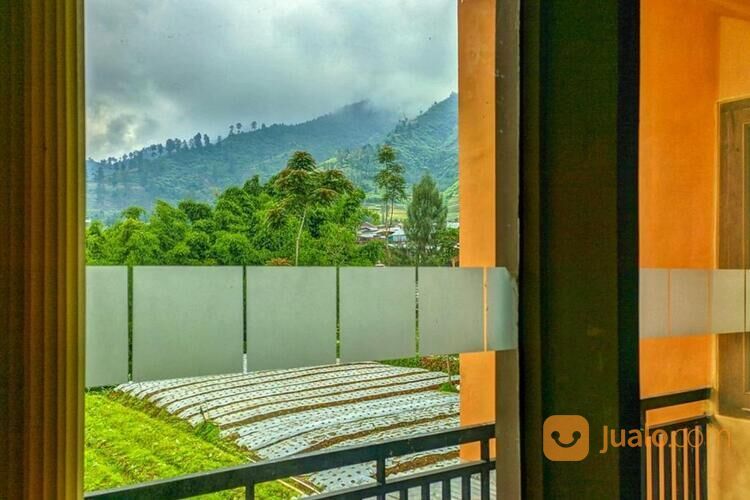 Sewa Homestay atau Villa di Wisata Dieng Wonosobo di Kab. Wonosobo ...