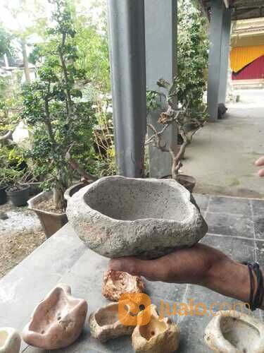 Pot Batu Alam untuk kaktus dan succulent di Kota Semarang, Jawa Tengah ...