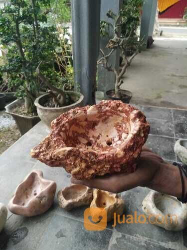 Pot Batu Alam untuk kaktus dan succulent di Kota Semarang, Jawa Tengah ...