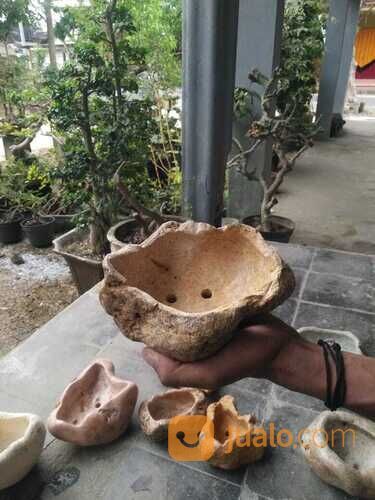 Pot Batu Alam untuk kaktus dan succulent di Kota Semarang, Jawa Tengah ...