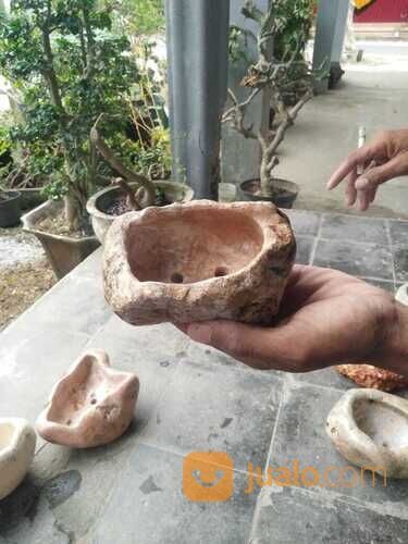 Pot Batu Alam untuk kaktus dan succulent di Kota Semarang, Jawa Tengah ...
