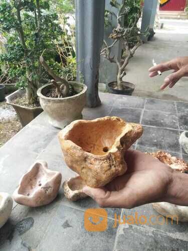 Pot Batu Alam untuk kaktus dan succulent di Kota Semarang, Jawa Tengah ...