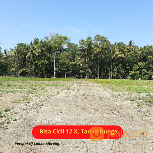 Promo Awal Tahun : Tanah Kavling Madiun, 3 Menit Pasar Sukolilo, Luas ... Promo Awal Tahun : Tanah Kavling Madiun, 3 Menit Pasar Sukolilo, Luas ...