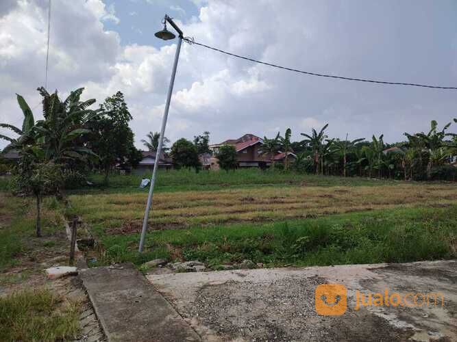 Tanah Murah Delima Panam, Surat SKGR di Kota Pekanbaru, Riau | Jualo.com
