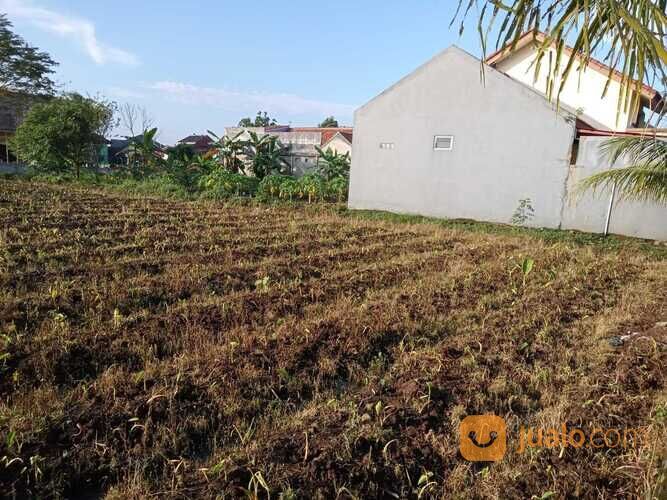 10 Menit Dari Terminal Laladon Kota Bogor, Tanah Cash / Cicilan di Kota ...