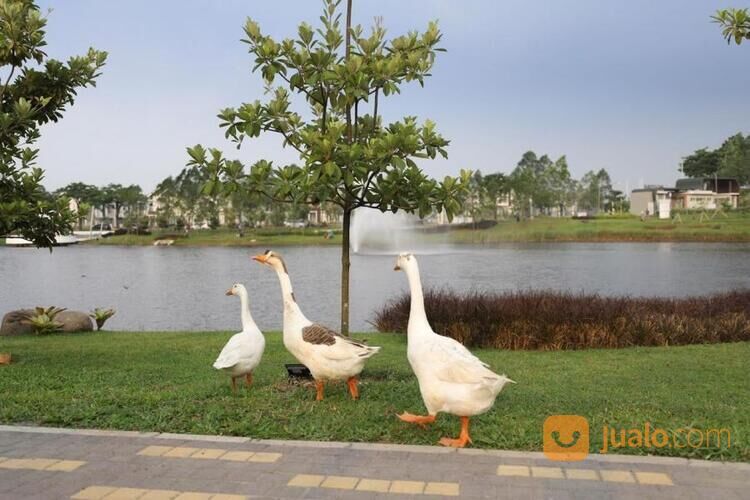 Cluster Vivaldi Symphonia Summarecon Gading Serpong fasilitas danau ...
