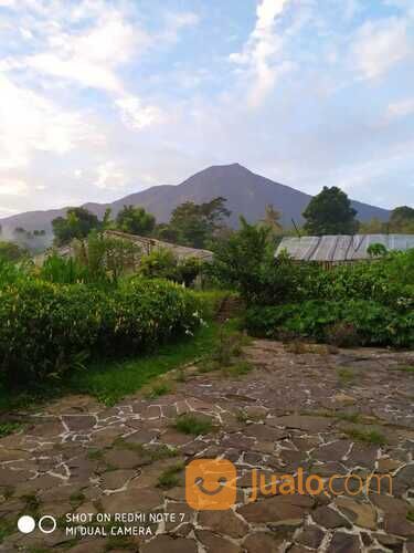 Villa Tenjolaya Kebun dan Buah Ciapus Bogor di Kab. Bogor, Jawa Barat ...