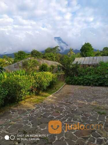 Villa Tenjolaya Kebun dan Buah Ciapus Bogor di Kab. Bogor, Jawa Barat ...
