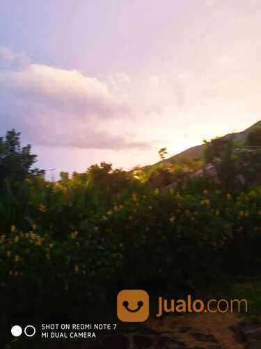 Villa Tenjolaya Kebun dan Buah Ciapus Bogor di Kab. Bogor, Jawa Barat ...