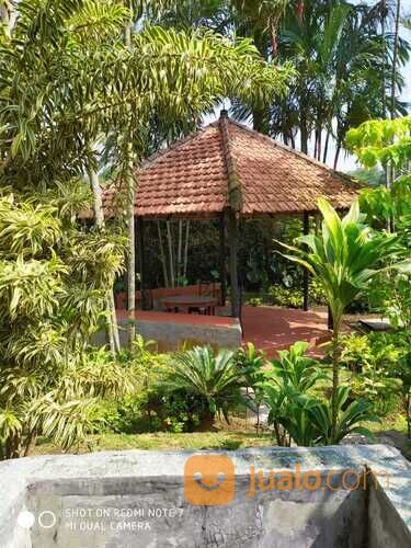 Villa Tenjolaya Kebun dan Buah Ciapus Bogor di Kab. Bogor, Jawa Barat ...