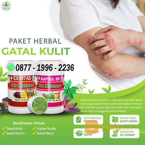 Paket Obat Herbal Dermatitis Seboroik Infeksi Kulit Anti bakteri jamur ...