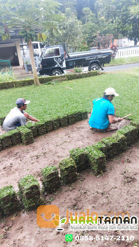 Jasa Tanam Rumput Gajah Mini Batu di Kota Batu, Jawa Timur | Jualo.com
