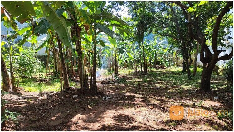 Kavling Kost Beji 1 KM Ke Kampus UI Row Jalan 6 Meter di Kota Depok ...