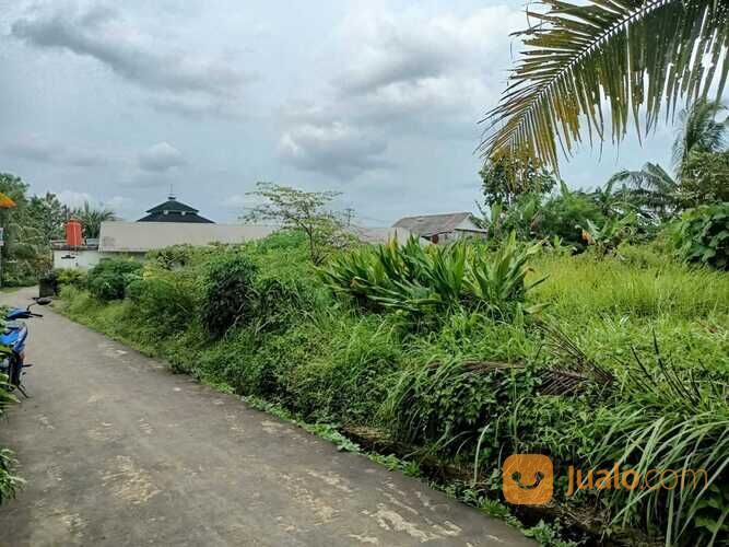 Tanah Kosong Lokasi Kebun Bunga di Kota Palembang, Sumatera Selatan ...