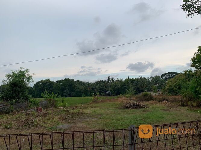 Tanah Pekarangan Wates, 5 Menit Alun-Alun Wates, LT 1979 m2 (30x65m) di ...