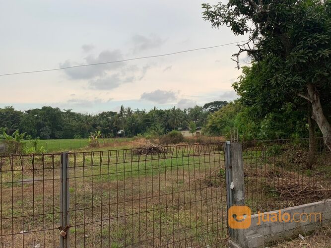 Tanah Pekarangan Wates, 5 Menit Alun-Alun Wates, LT 1979 m2 (30x65m) di ...