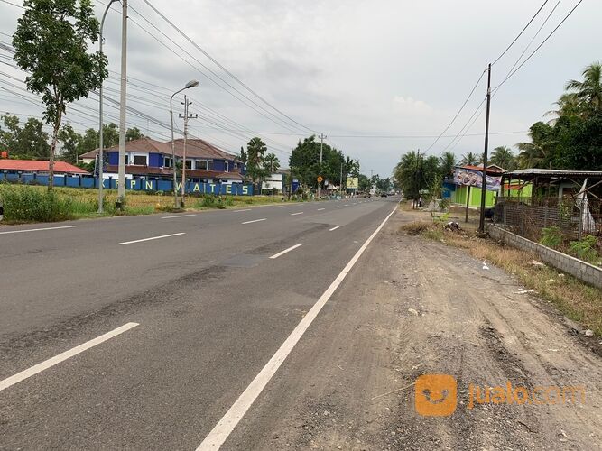 Tanah Pekarangan Wates, 5 Menit Alun-Alun Wates, LT 1979 m2 (30x65m) di ...