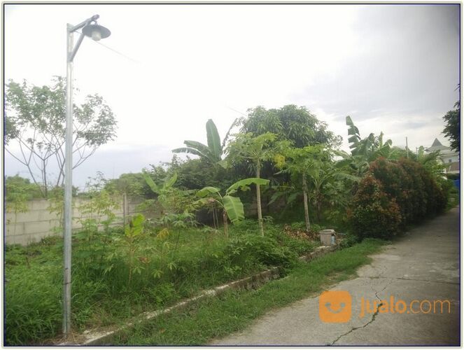 Rumah Cantik Dalam Perumahan Rajeg Gardenia Tangerang Banten. di Kota ...