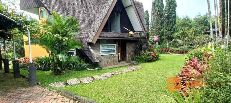 Villa estetik di Klub bunga Resort Batu di Kota Batu, Jawa Timur ...