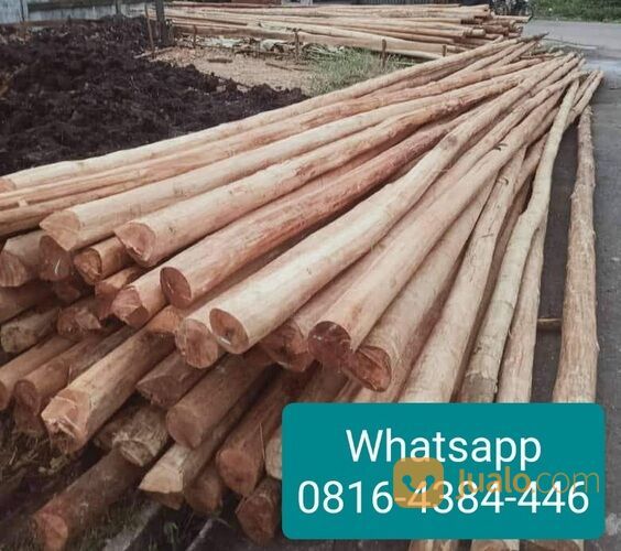 HARGA KAYU CERUCUK PONTIANAK WA 08164384446 di Kota Pontianak ...