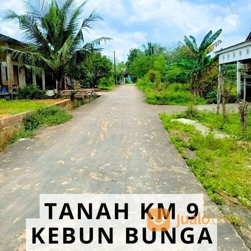 Tanah Luas Kebun bunga di Kota Palembang, Sumatera Selatan | Jualo.com