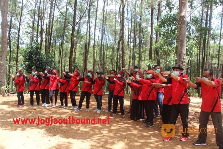 Outbound di Hutan Pinus Mangunan, Rekomendasi Tempat Outbound Seru di ...