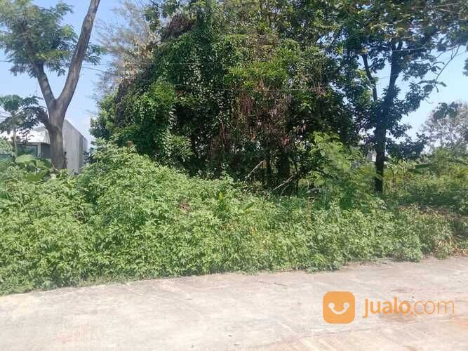 Tanah Potensial Area Kos-kosan dan Perum Cluster Gondang Bulusan ...