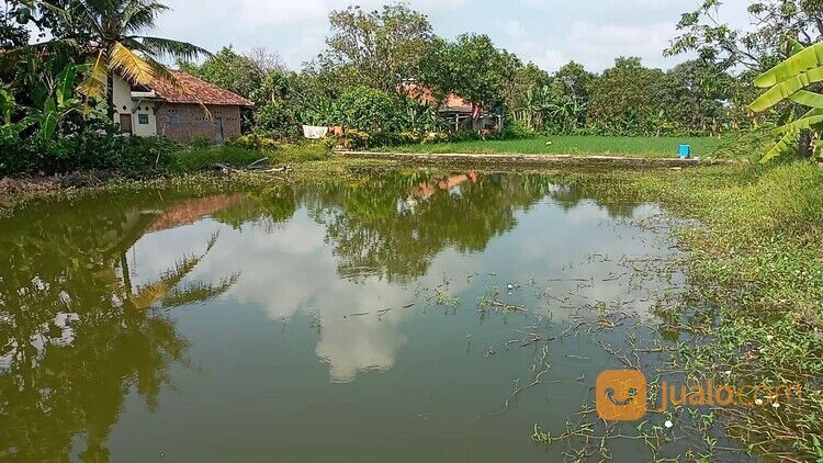 TANAH DARAT, SAWAH,KOLAM IKAN DAN 1 UNIT RUMAH BARUGBUG JATISARI ... TANAH DARAT, SAWAH,KOLAM IKAN DAN 1 UNIT RUMAH BARUGBUG JATISARI ...