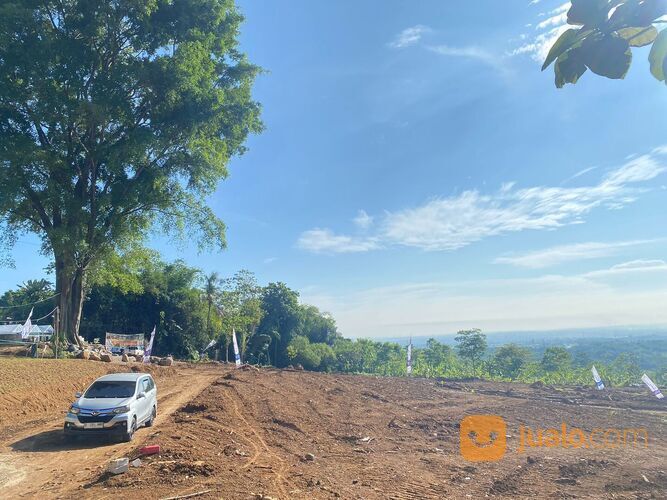 KAVLING WISATA KEBUN ANGGUR PRODUKTIF DI BOGOR di Kota Jakarta Selatan ...