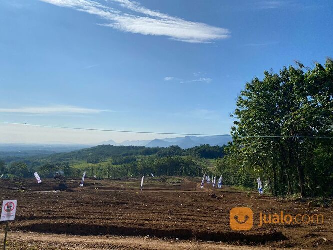 KAVLING WISATA KEBUN ANGGUR PRODUKTIF DI BOGOR di Kota Jakarta Selatan ...