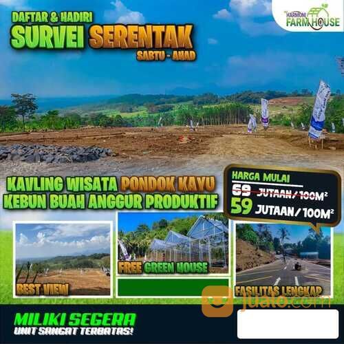 KAVLING WISATA KEBUN ANGGUR 50 JUTAAN DI BOGOR di Kota Jakarta Timur ...
