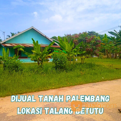 Tanah Dan Bangunan Lokasi Talang Betutu Luas 960 Meter di Kota ...